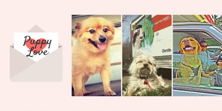 Puppy Love with U-Haul | My U-Haul Story